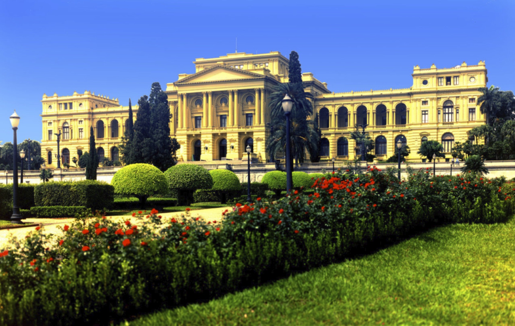 A história dos museus no Brasil e sua importância para a ciência e a ...